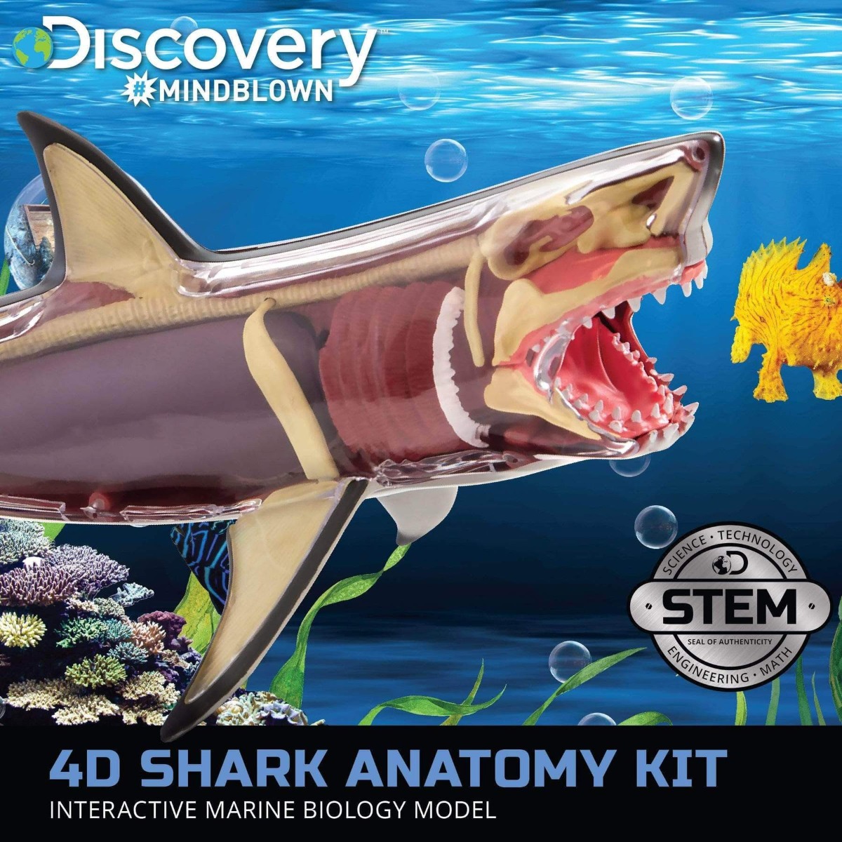 Buy Discovery Mind Blown Anatomy 4D Shark Online | Yallatoys Qatar