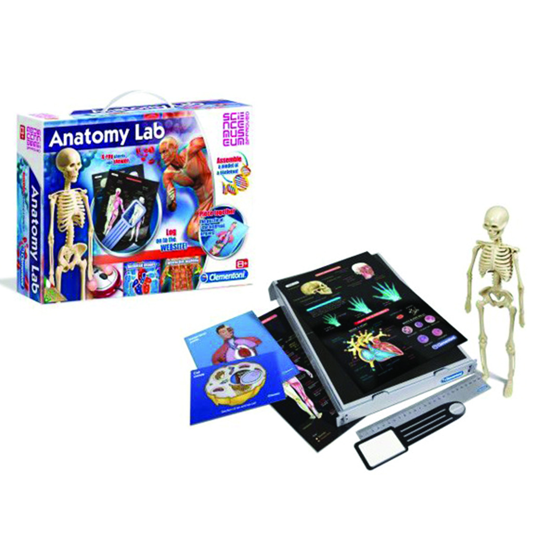 Clementoni - Science & Game Anatomy Lab